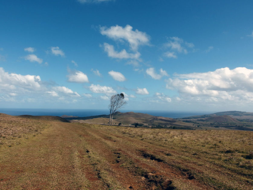 The Magic of Easter Island | TravelGeekery