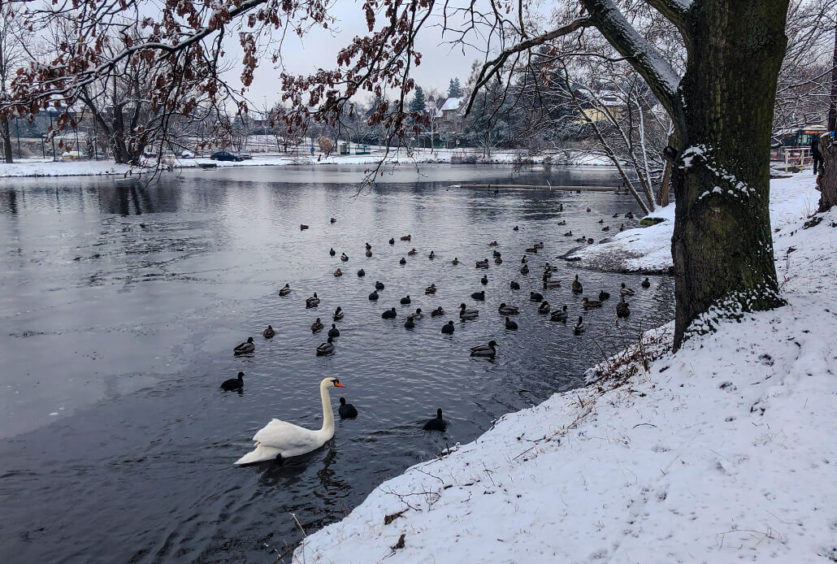 Winter in Prague: The Most Magical Season | TravelGeekery