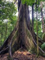 Most Beautiful Places in Costa Rica: 13 Heavenly Destinations