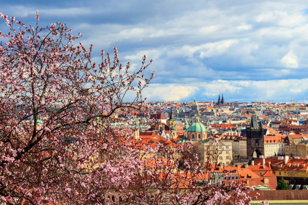 Prague in Spring: Cherry Blossoms, Easter Magic & Local Secrets - Travel Geekery